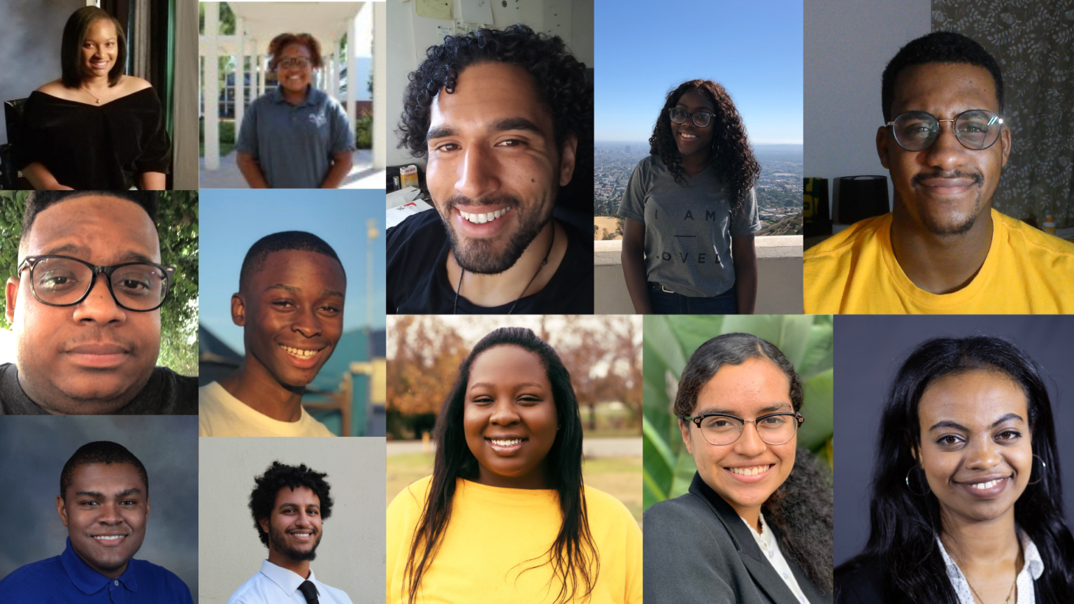 Career Pathways for Black STEM Professionals: Getting Beyond the ...